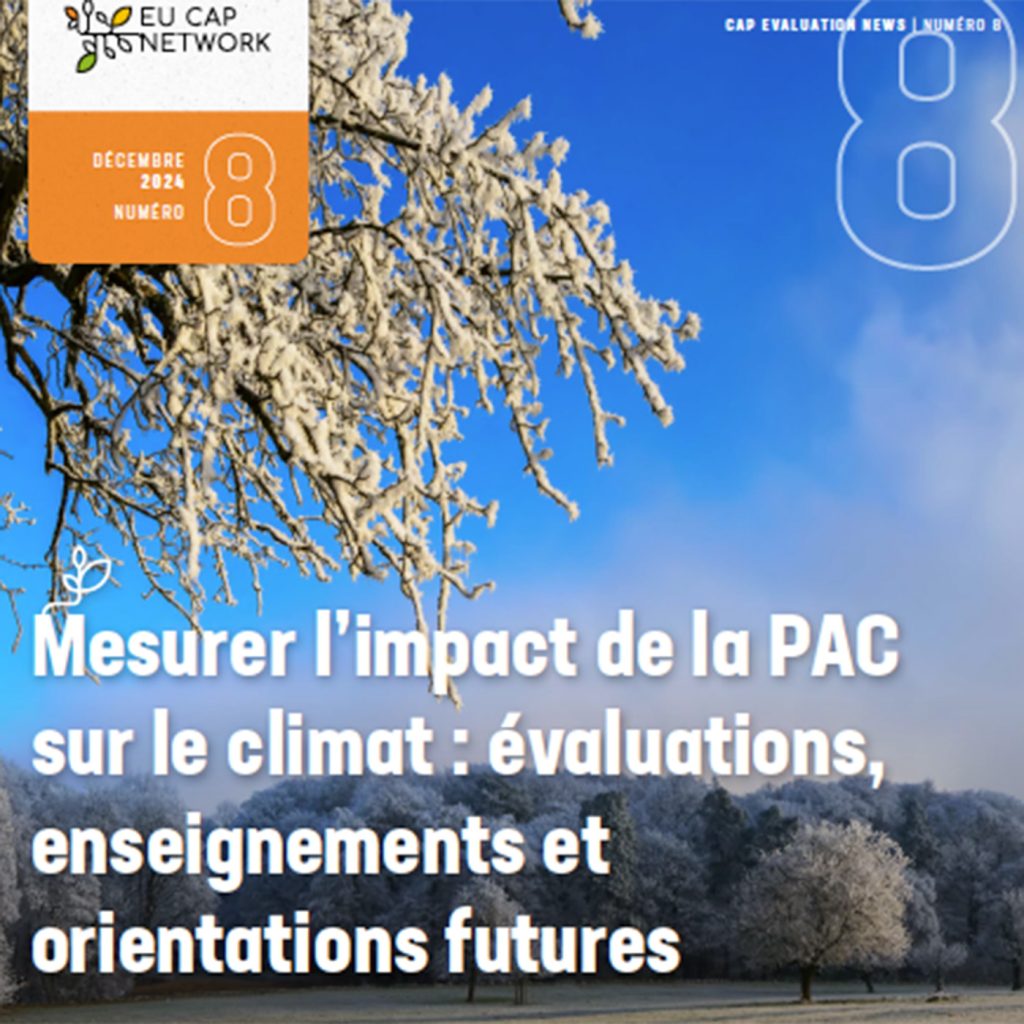 CAP Evaluation News – Δεκέμβριος 2024 – ΑΓΡΟΤΙΚΗ ΑΝΑΠΤΥΞΗ